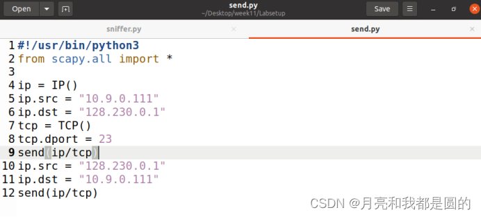 网络攻防--嗅探与欺骗_sniff and spoof python代码改变原地址-CSDN博客