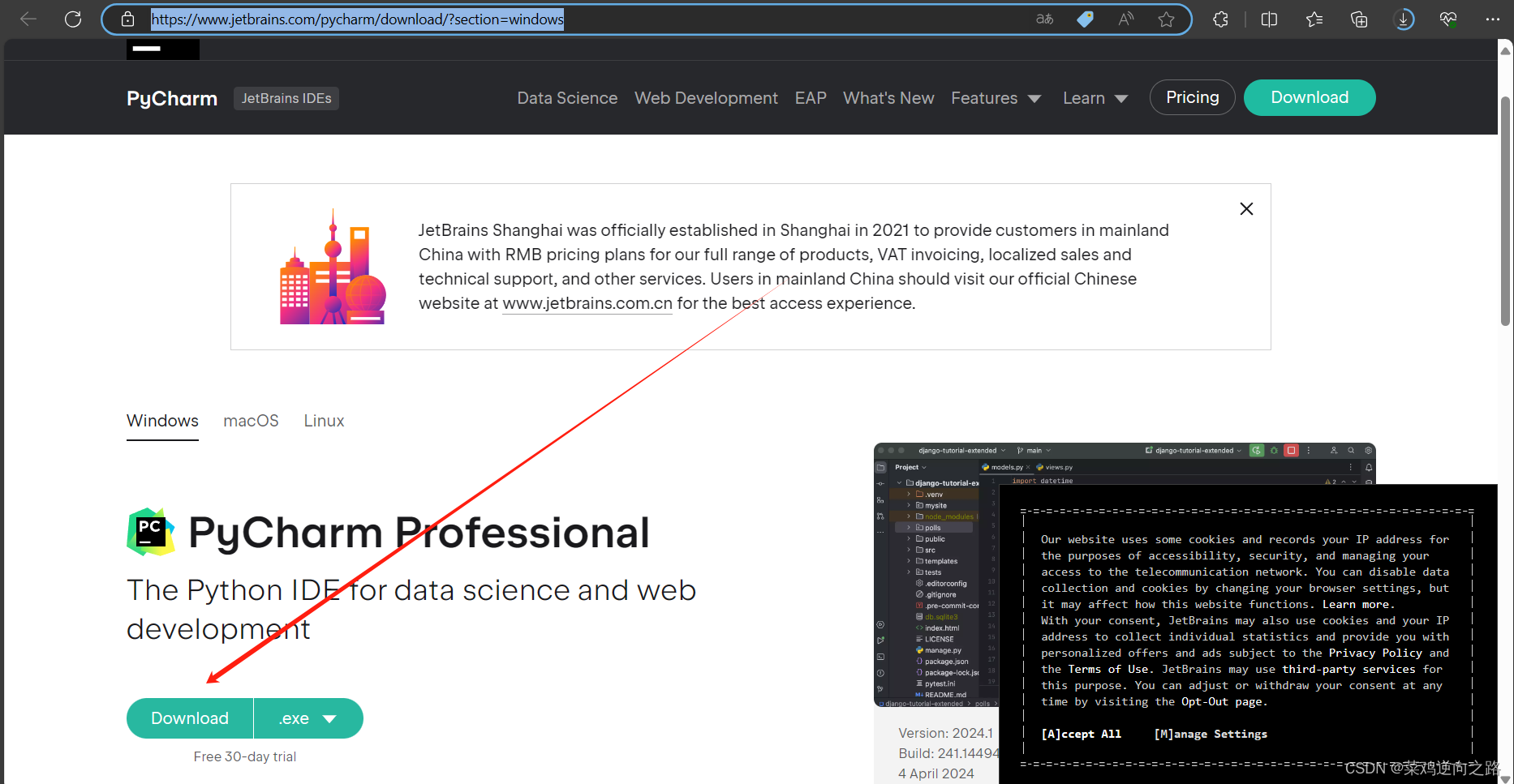 js逆向环境搭建_pycharm调试js-CSDN博客
