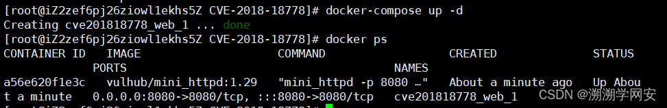 vulhub mini_httpd漏洞复现 | CVE-2018-18778任意文件读取漏洞-CSDN博客