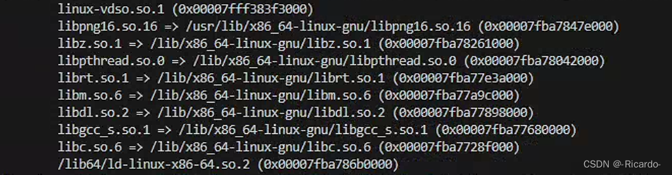 AFL重现Crash_leaksanitizer does not work under ptrace (strace, -CSDN博客