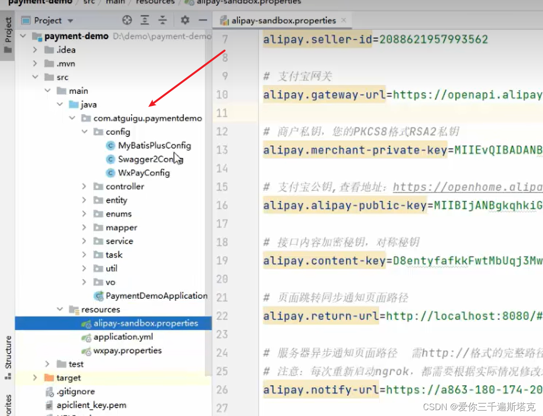 支付系统15-----支付宝支付，引入支付参数，如何使支付宝的配置信息变成SpringBoot相关的配置信息_pay::alipay()配置参数-CSDN博客