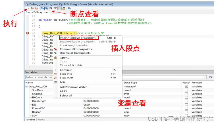 一文带你入门CAPL编程-实战教学-CSDN博客