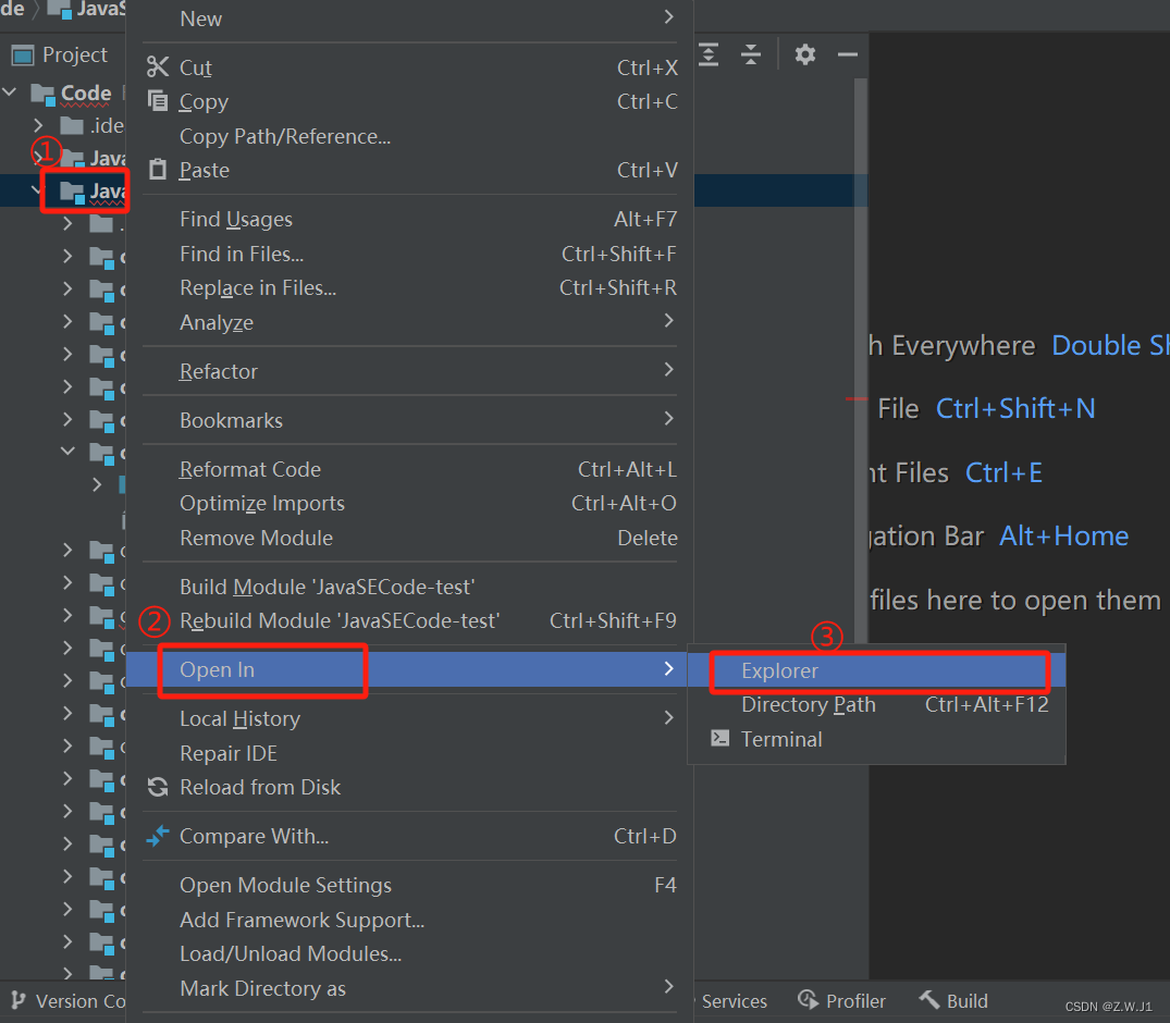 复制项目时可能会遇到的bug_cannot be defined in module "iform-server" because-CSDN博客