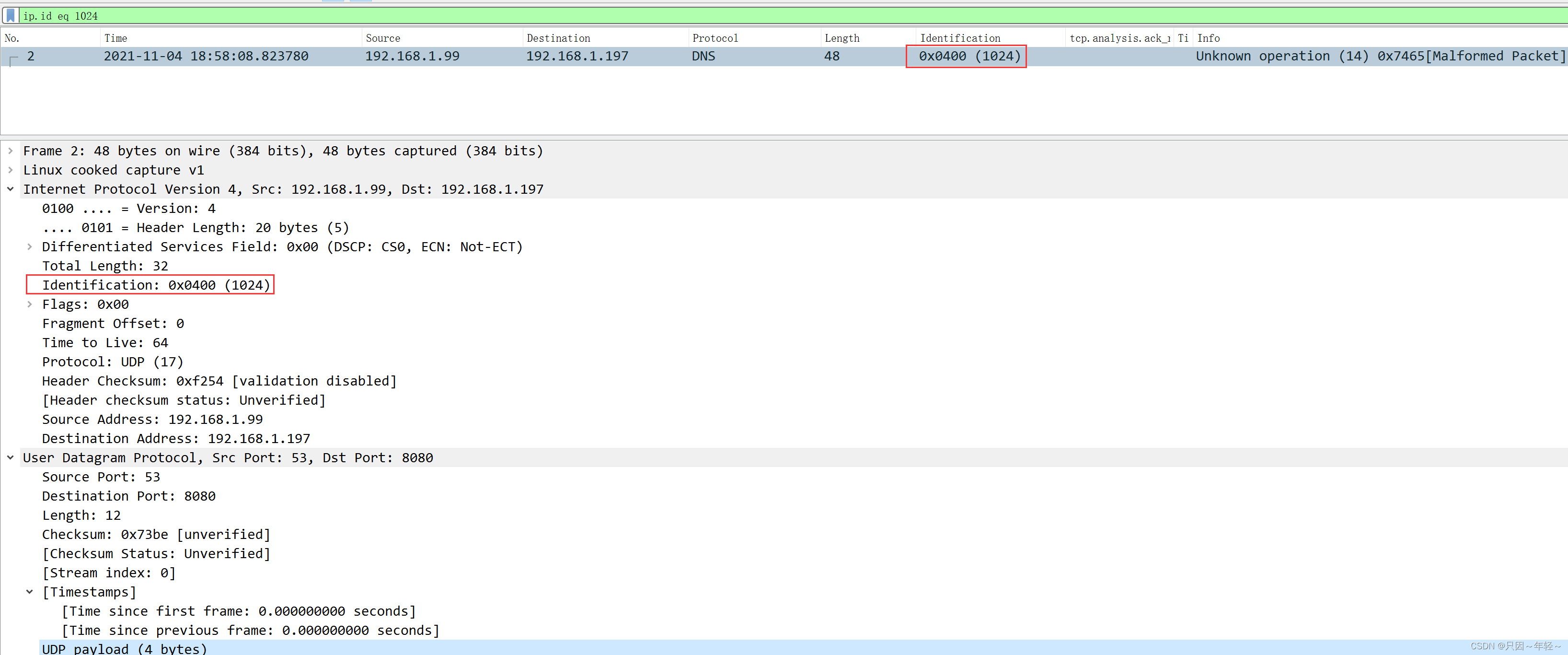 网络探测的中流砥柱-Nping使用_nping语法-CSDN博客