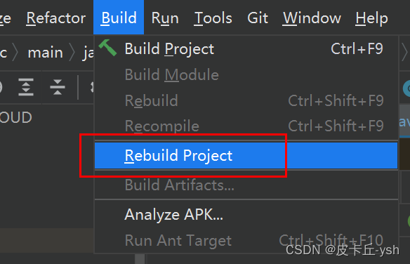 【IDEA】启动报错：java.lang.IndexOutOfBoundsException: Range [-1, -1 + 1025) out of bounds for length ...
