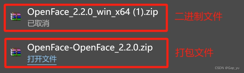 Windows系统配置Openface——畅通无阻！-CSDN博客
