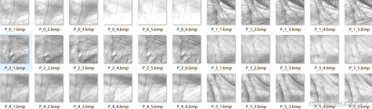 HOG（梯度方向直方图）进行图像特征提取，实现掌纹识别！_hog pca-CSDN博客