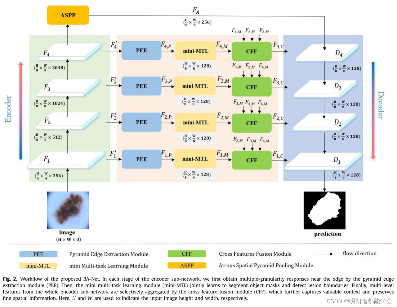 2022-MIA：基于边界感知上下文神经网络的医学图像分割Boundary-aware context neural network for medical image ...