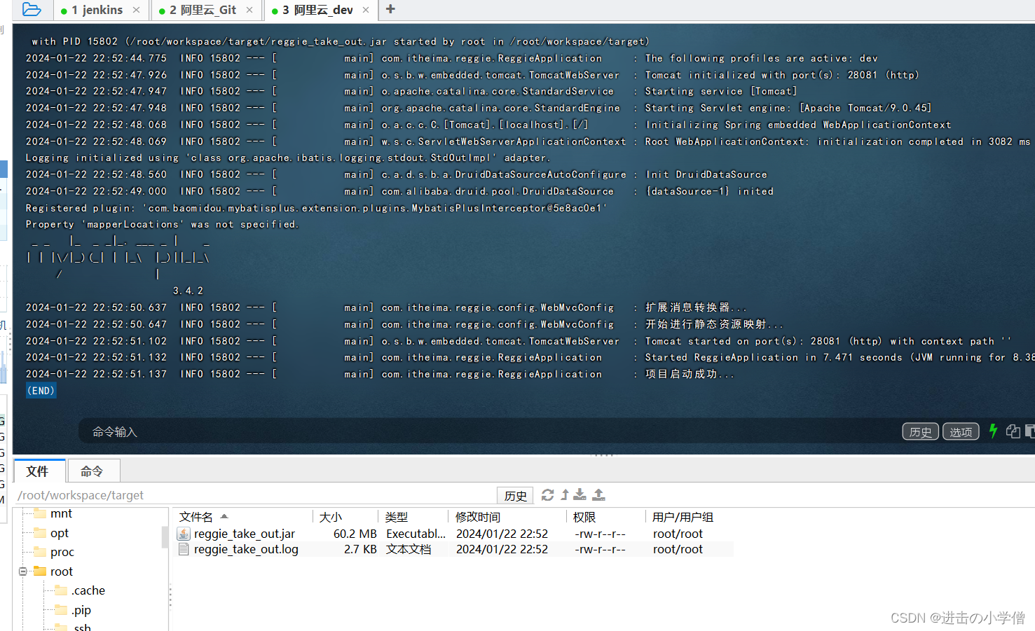 jenkins部署springBoot项目到远程服务器_jenkins 部署 远程 springboot-CSDN博客