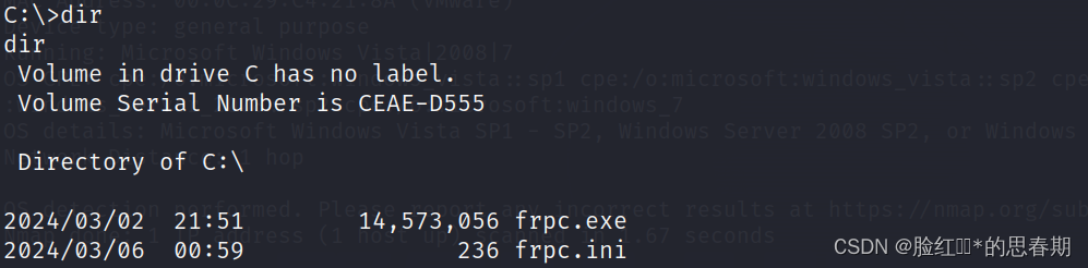frp内网穿透(socks隧道)_frp配置ini实现soket5-CSDN博客