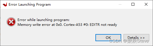 Vitis 2022 debug报错:Memory write error at 0x0, Cortex-A53 #0: EDITR not ready_memory write error ...