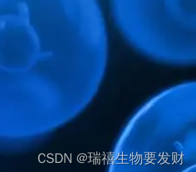 试剂Annexin V-Alexa Fluor 405，是一种蓝紫色的荧光染料，常用于显微镜或流式细胞仪实验_alexa fluor 405 ...