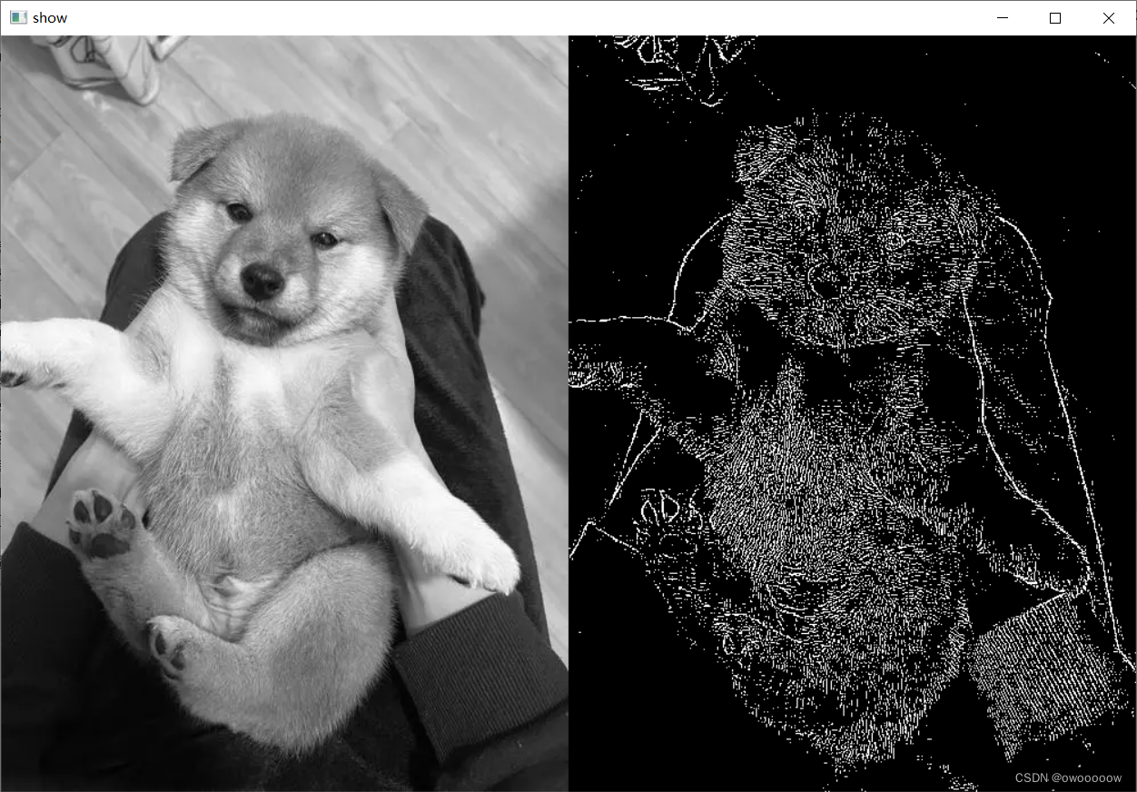 【openCV学习】23.自适应阈值二值化-CSDN博客