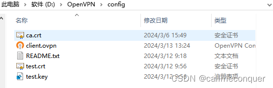 公司级VPN建设以及配置（Openvpn）_error opening configuration file: server.conf-CSDN博客