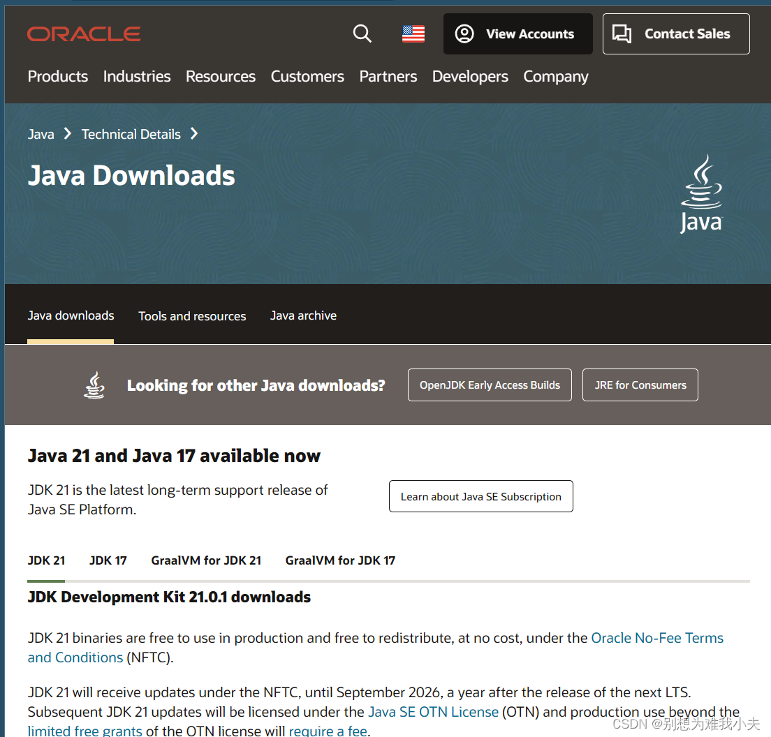 JDK11和IDEA 2021下载安装教程_idea下载java11-CSDN博客
