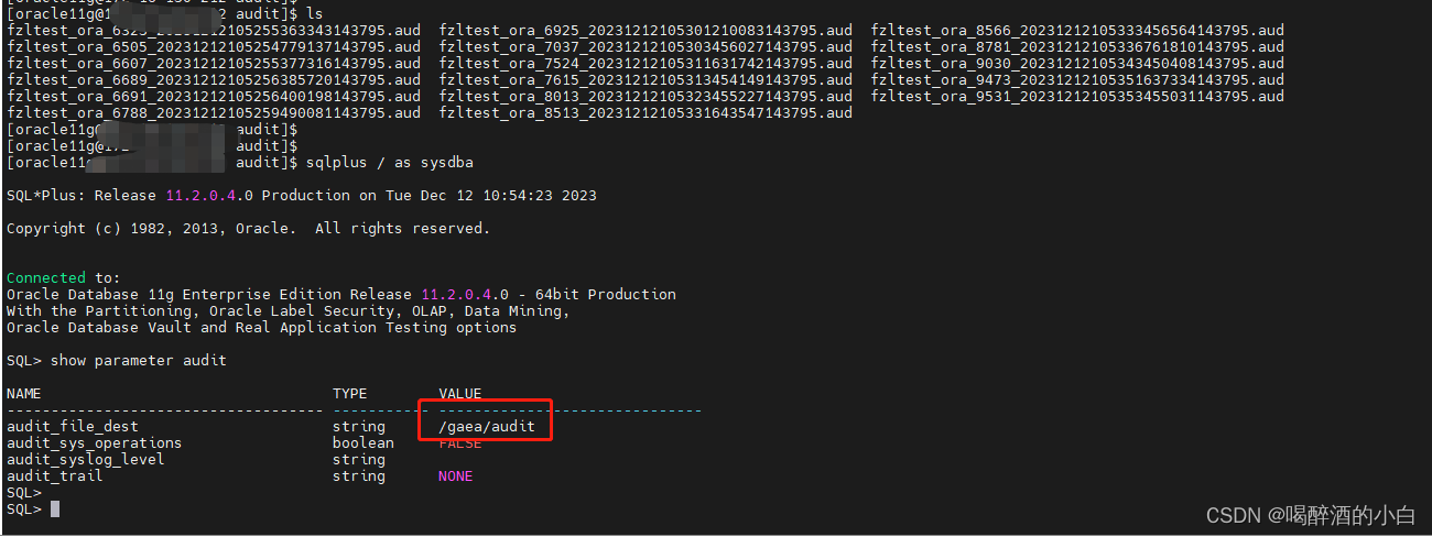 Oracle审计_oracle sys.aud$-CSDN博客