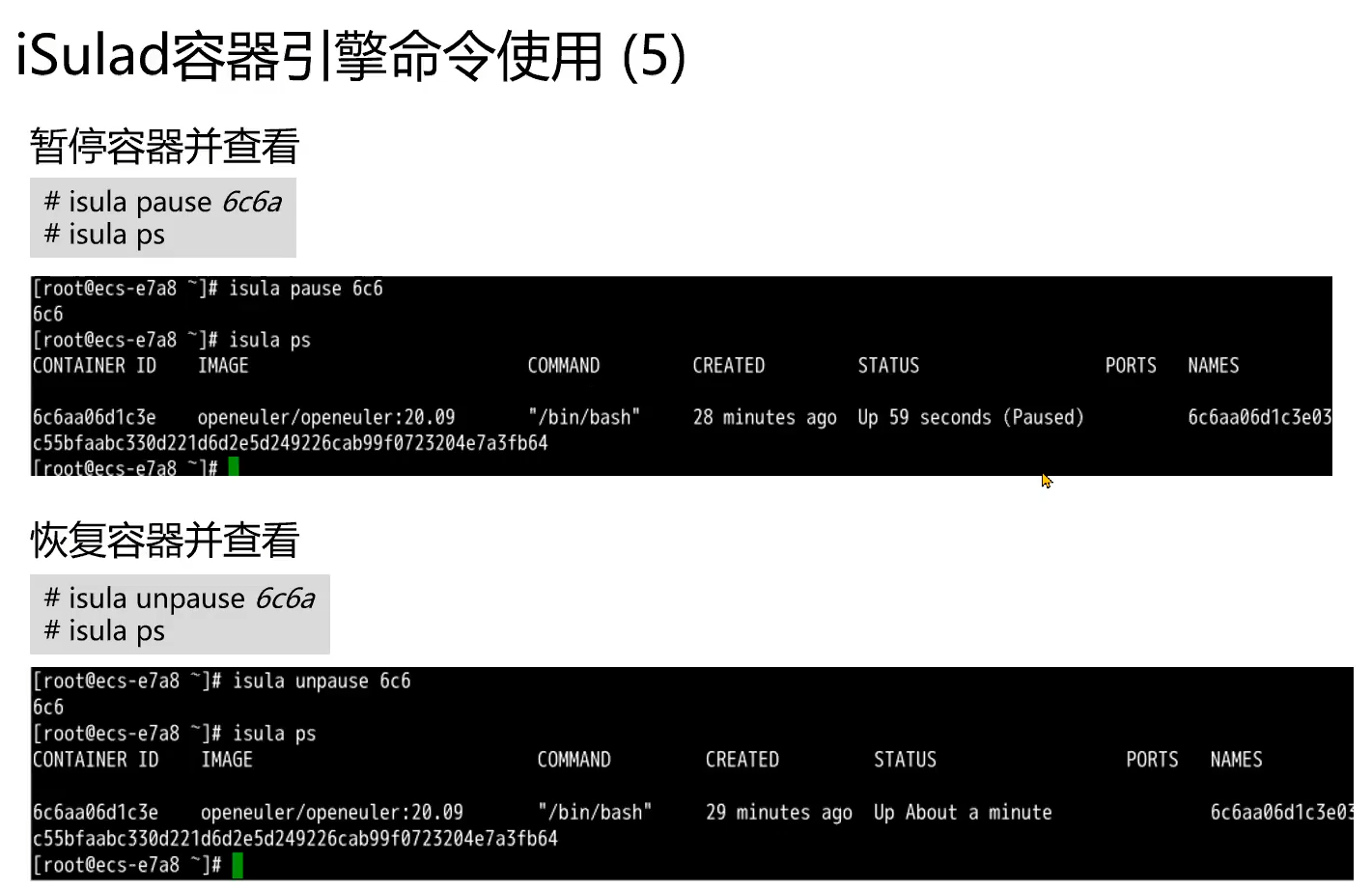 鲲鹏微认证：iSula容器解决方案介绍与实践_鲲鹏微认证——《isula容器解决方案介绍与实践》-CSDN博客