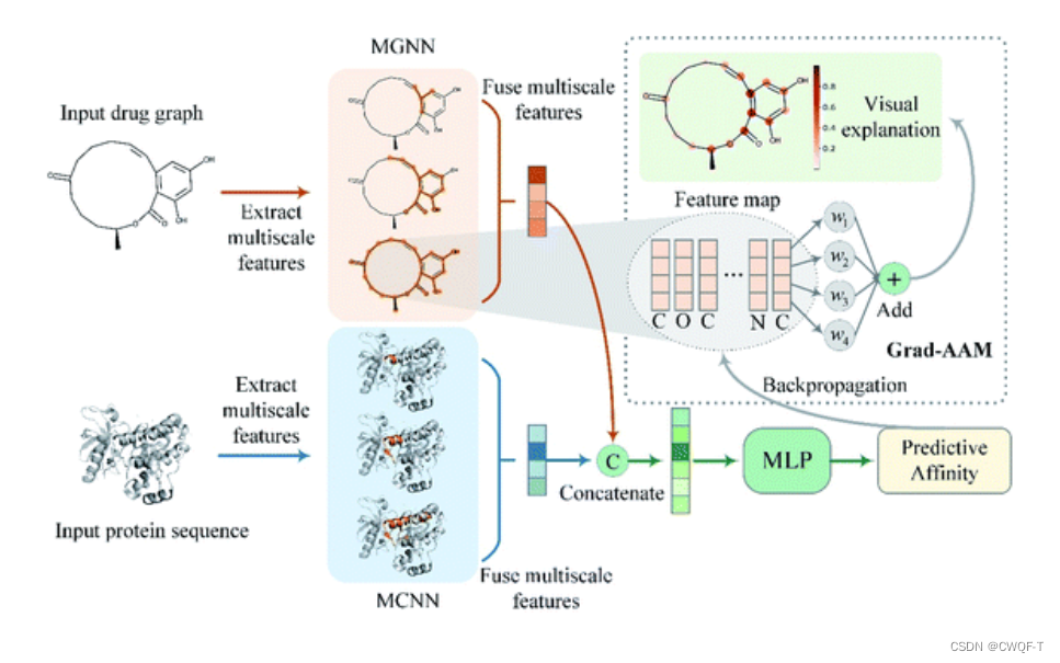 药物靶标相互作用（四）_grad-aam-CSDN博客