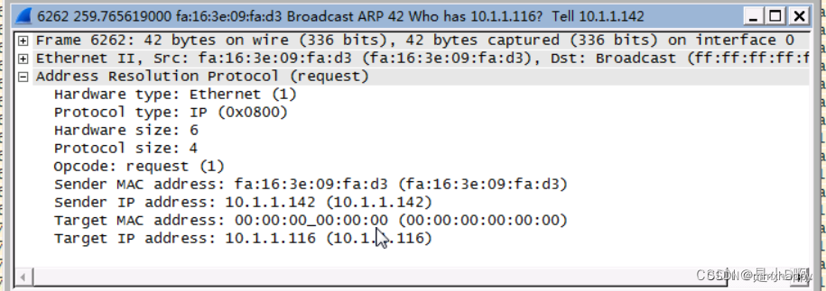 Wireshark数据抓包分析之ARP协议_通过wireshark分析arp的请求包和响应包-CSDN博客