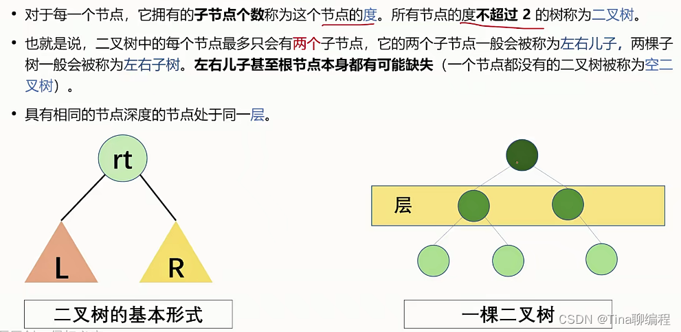 NOIP，CSP-J，CSP-S——树_csp-j关于树的真题-CSDN博客