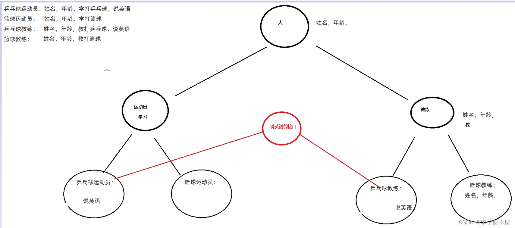 Java面向对象进阶——接口和抽象类的综合案例乒乓球运动员姓名年龄学打乒乓球说英语篮球运动员姓名年龄学打篮球乒 Csdn博客 