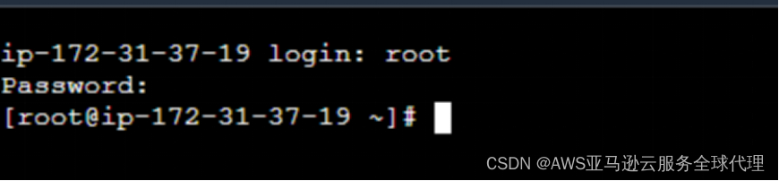 AWS 使用EC2串行控制台连接-CSDN博客
