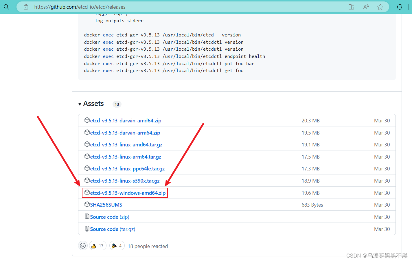 Windows系统下安装etcd（保姆级教程！！）_etcd windows-CSDN博客