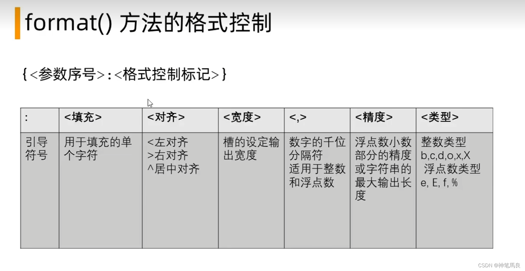 Format方法的格式控制中槽或者叫占位符里面可以有哪些内容呢？format方法中的槽有哪些格式控制标记 Csdn博客 7073
