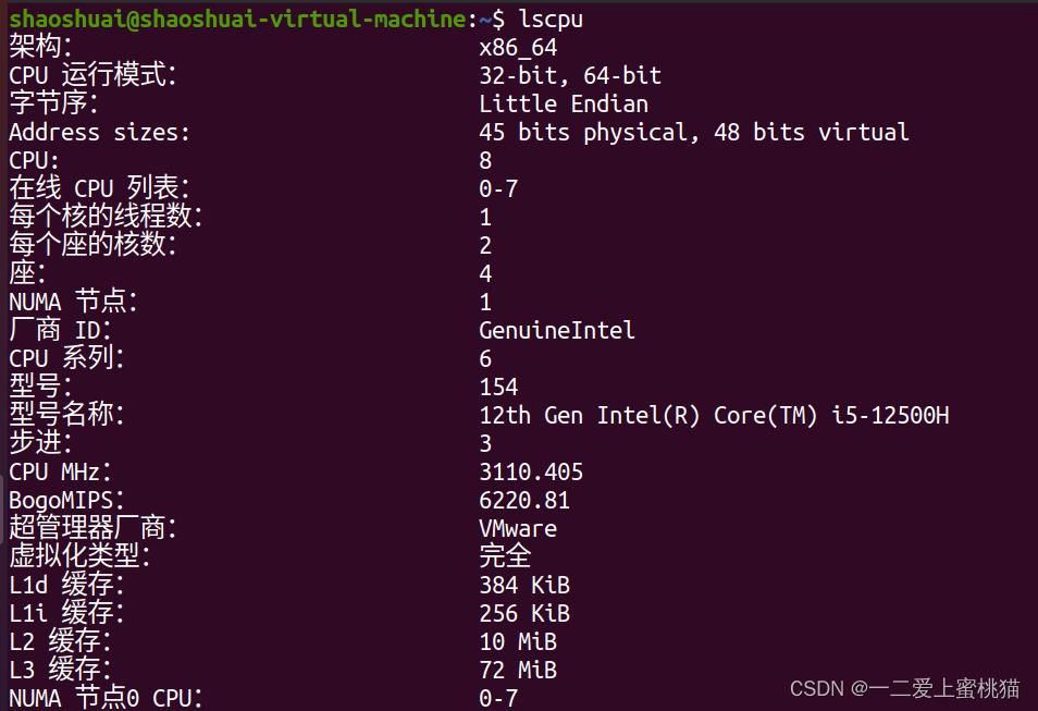 Windows和Linux系统下查看CPU架构信息的方法_windows查看架构-CSDN博客