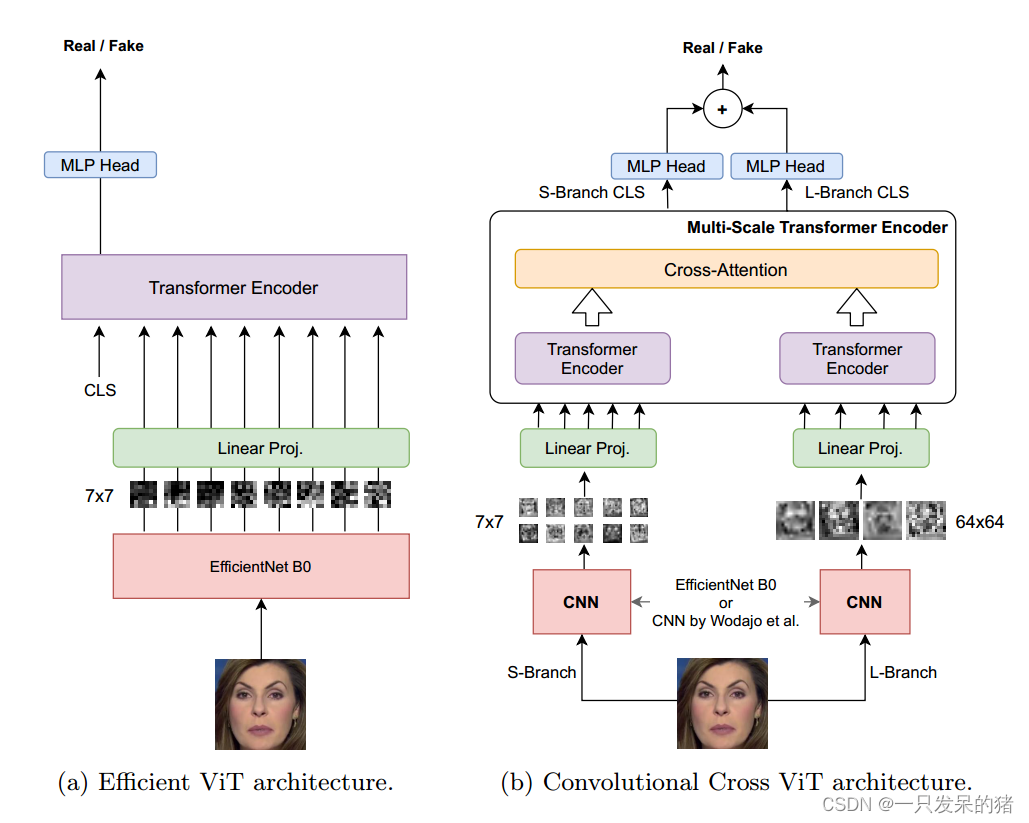 论文阅读《Combining EfficientNet and Vision Transformersfor Video Deepfake Detection》_combining ...
