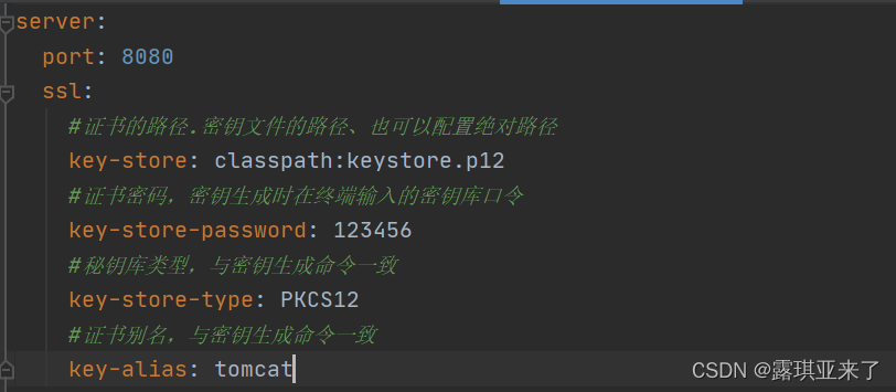 SpringBoot项目改造成Https协议-CSDN博客