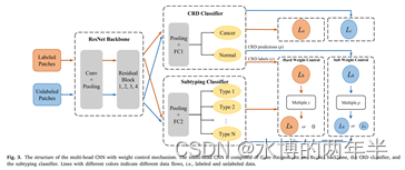 （WSI分类）WSI分类文献小综述_scaling vision transformers to gigapixel images vi-CSDN博客