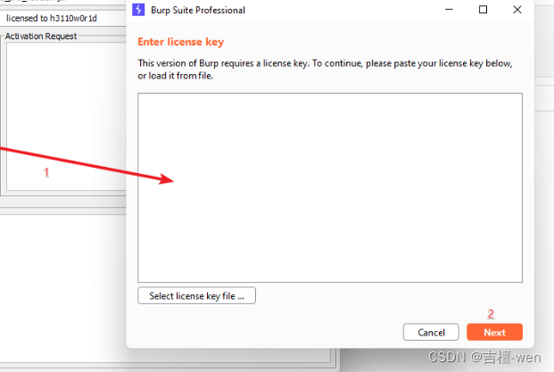 Burp Suite Professional v2024安装及激活-CSDN博客