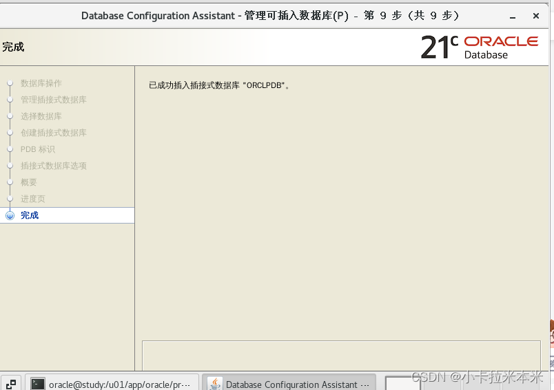 Linux 安装oracle 21c_oracle21c数据库linux下载安装-CSDN博客