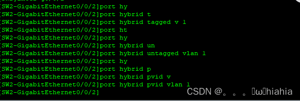 在交换机接口上配置trunk模式出现Error: The L3 interface must be switched to a L2 port first.-CSDN博客