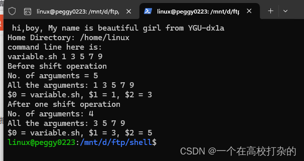 shell变量之位置变量和专用参数（sy6.5）-CSDN博客