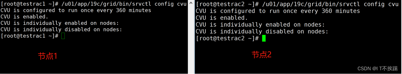 Oracle 19C RAC IPv6改造（IPv4+IPv6双栈配置）_oracle ipv6 访问-CSDN博客