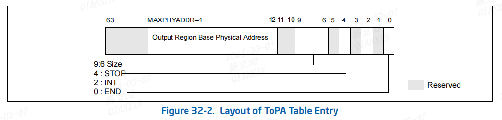 Intel Processor Trace（一）_ptwrite指令-CSDN博客