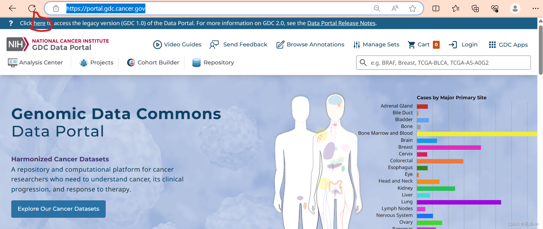 【TCGA】批量下载WSIs(GDC Transfer Tool-UI)_gdc data transfer tool-CSDN博客