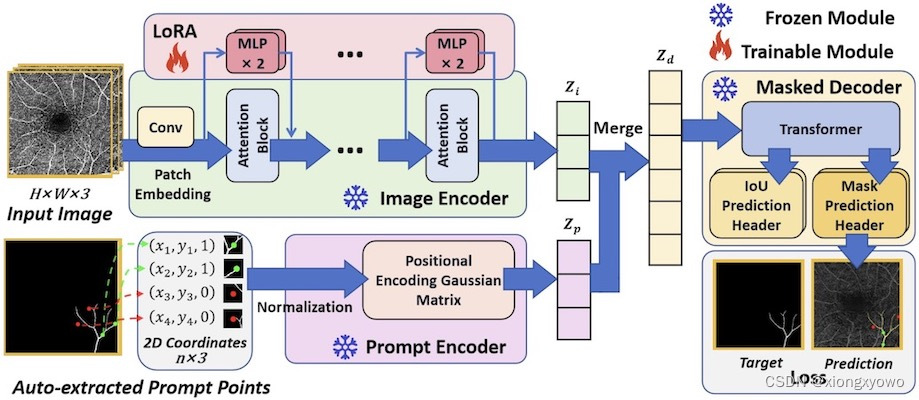视觉参数高效微调(Visual Parameter Efficient Tuning)部分论文汇总_adaptershadow-CSDN博客