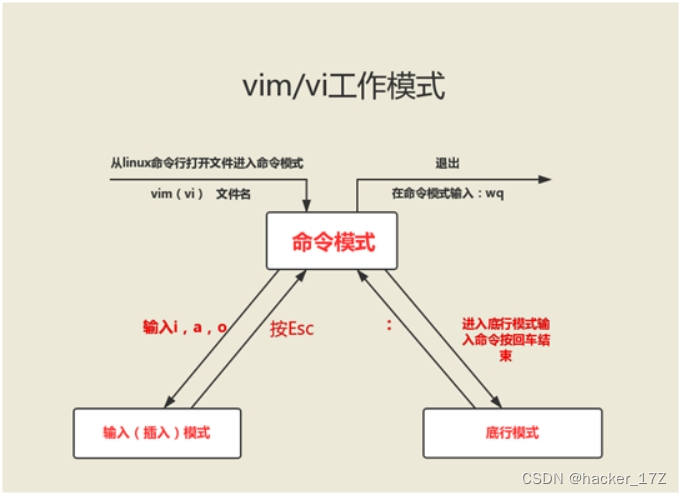 Linux常见命令 Csdn博客 