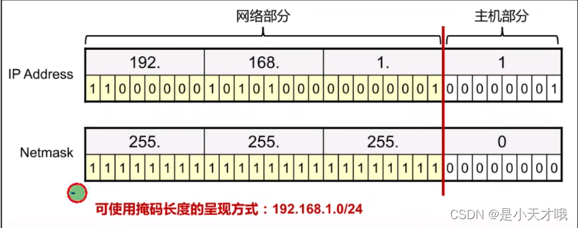 IP-IP地址-CSDN博客