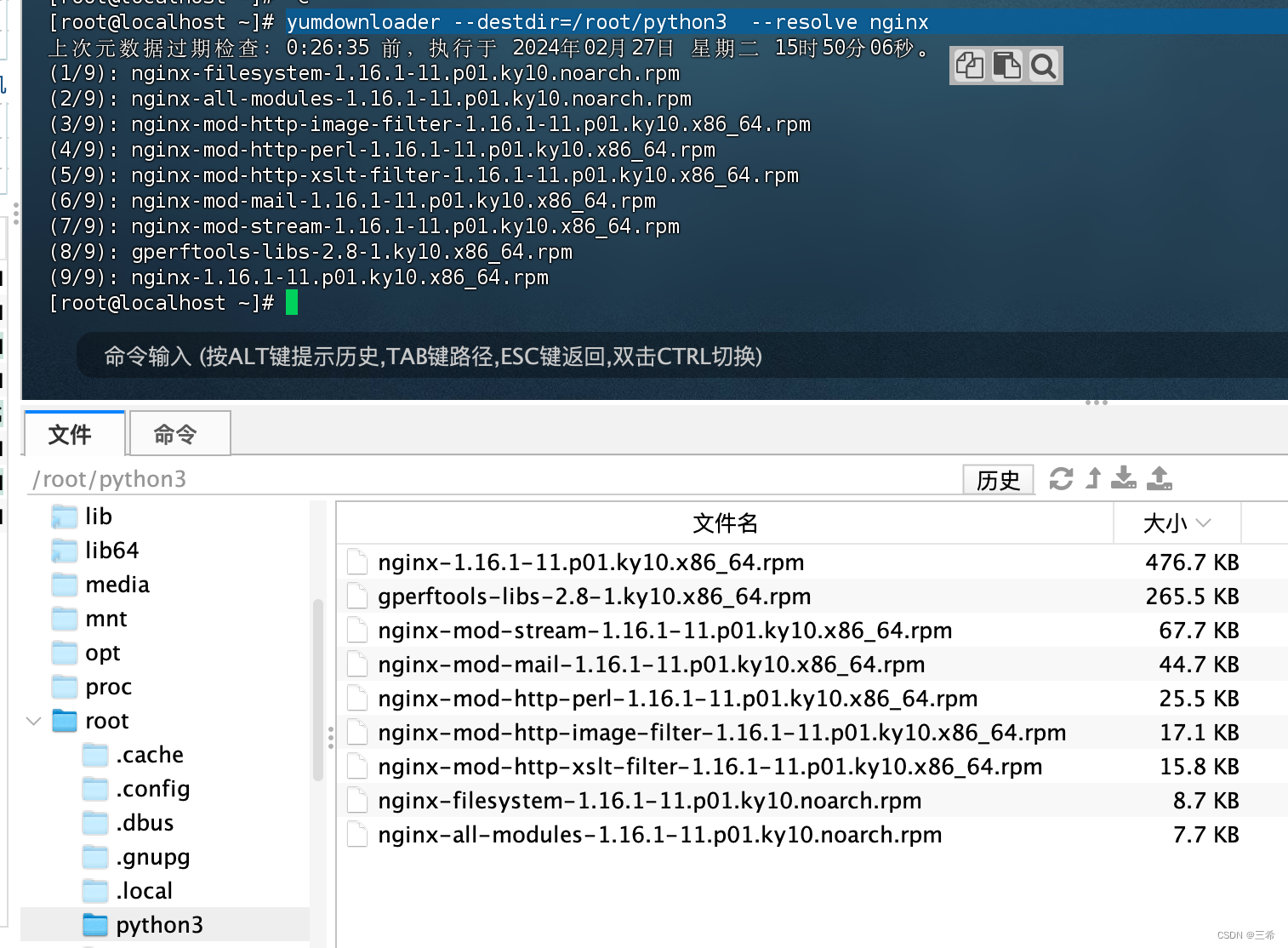 ky10-server nginx离线安装包_ky10离线安装arm 版本 nginx-CSDN博客