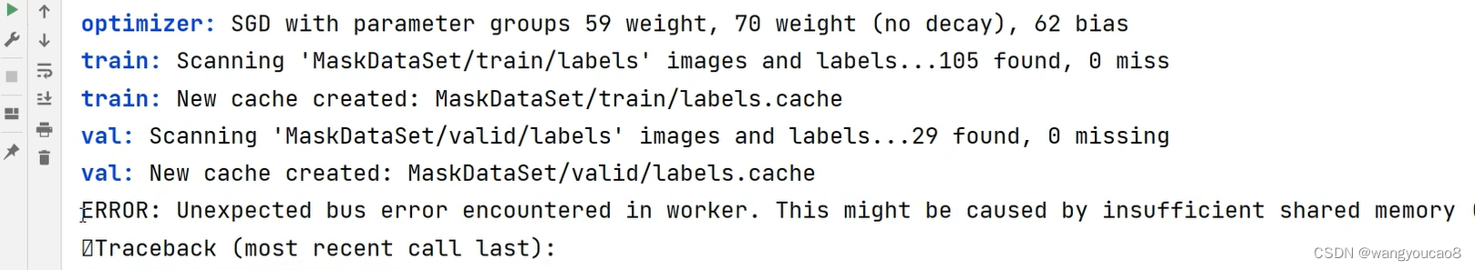 Unexpected bus error encountered in worker. This might be caused by insufficient shared memory ...