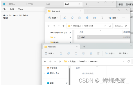 HNU_计算机网络_实验2（2021级）-网络基础编程实验(JAVA\Python3)_网络套接字编程实验-CSDN博客