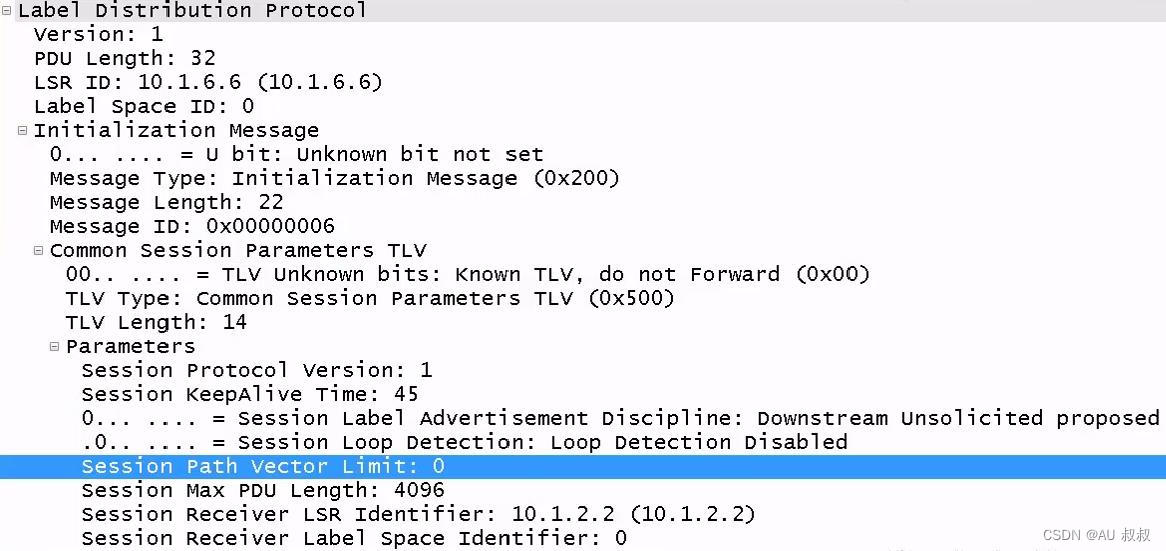1.3 LDP会话建立过程_ldp 会话建立-CSDN博客