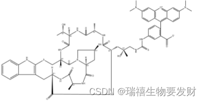 鬼笔环肽-iFluor 350标记，发出蓝色的荧光，CAS号：915013-10-4，TRITC-Phalloidin-CSDN博客