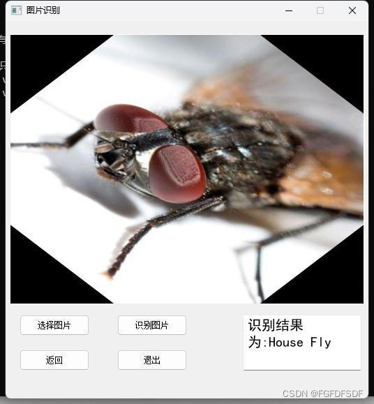 0106期会飞的昆虫识别 Python深度学习 含数据集 Csdn博客
