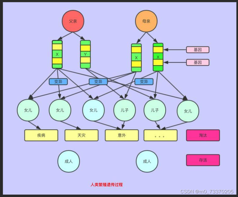 机器学习之遗传算法概述遗传算法机器学习 Csdn博客
