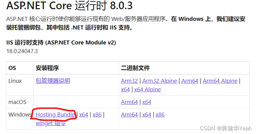 ASP.NET 8 发布部署之IIS部署_net8 部署iis-CSDN博客